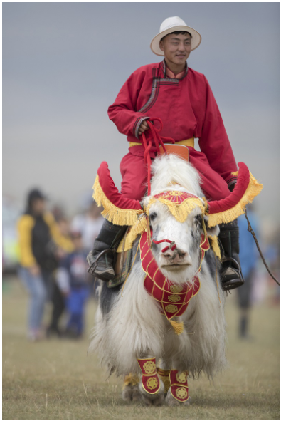 Episode 156: Animals of Mongolia | Strange Animals Podcast