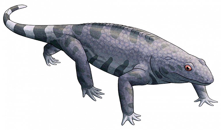 Episode 172: Temnospondyls | Strange Animals Podcast