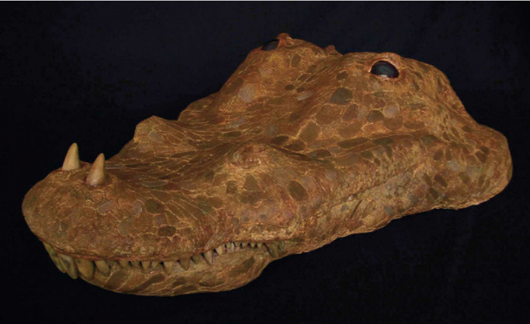 Mastodonsaurus | Strange Animals Podcast