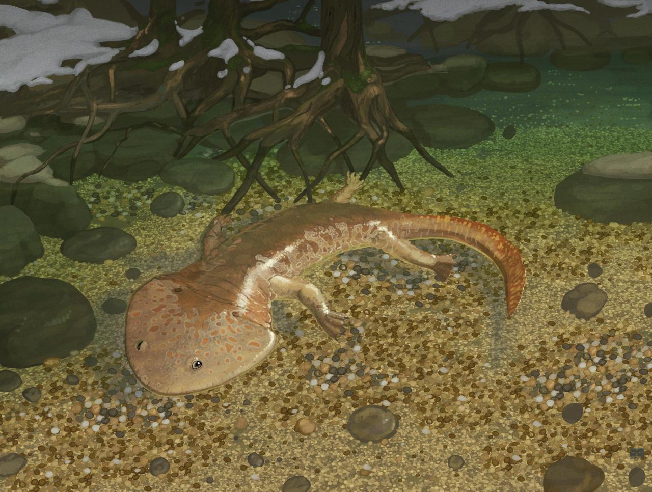 Episode 172: Temnospondyls | Strange Animals Podcast