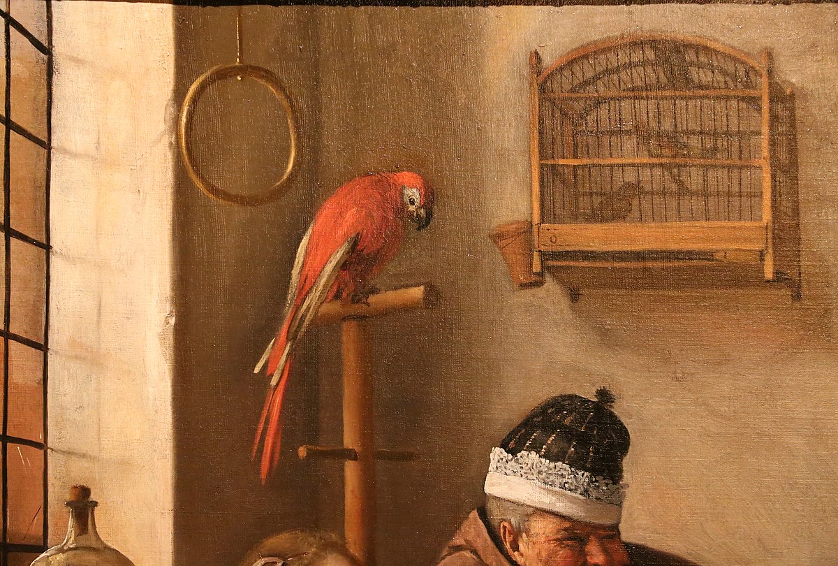 Strange Animals Podcast | A podcast about living, extinct, and ...